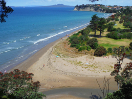 Long Bay - Okura Marine Reserve | Hello Auckland - Hello Auckland