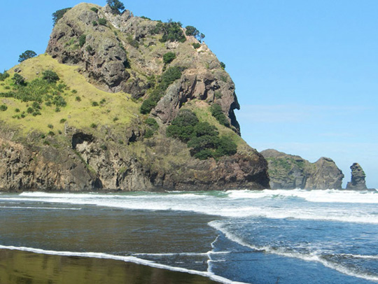 Bush and Beach - sightseeing | Hello Auckland - Hello Auckland