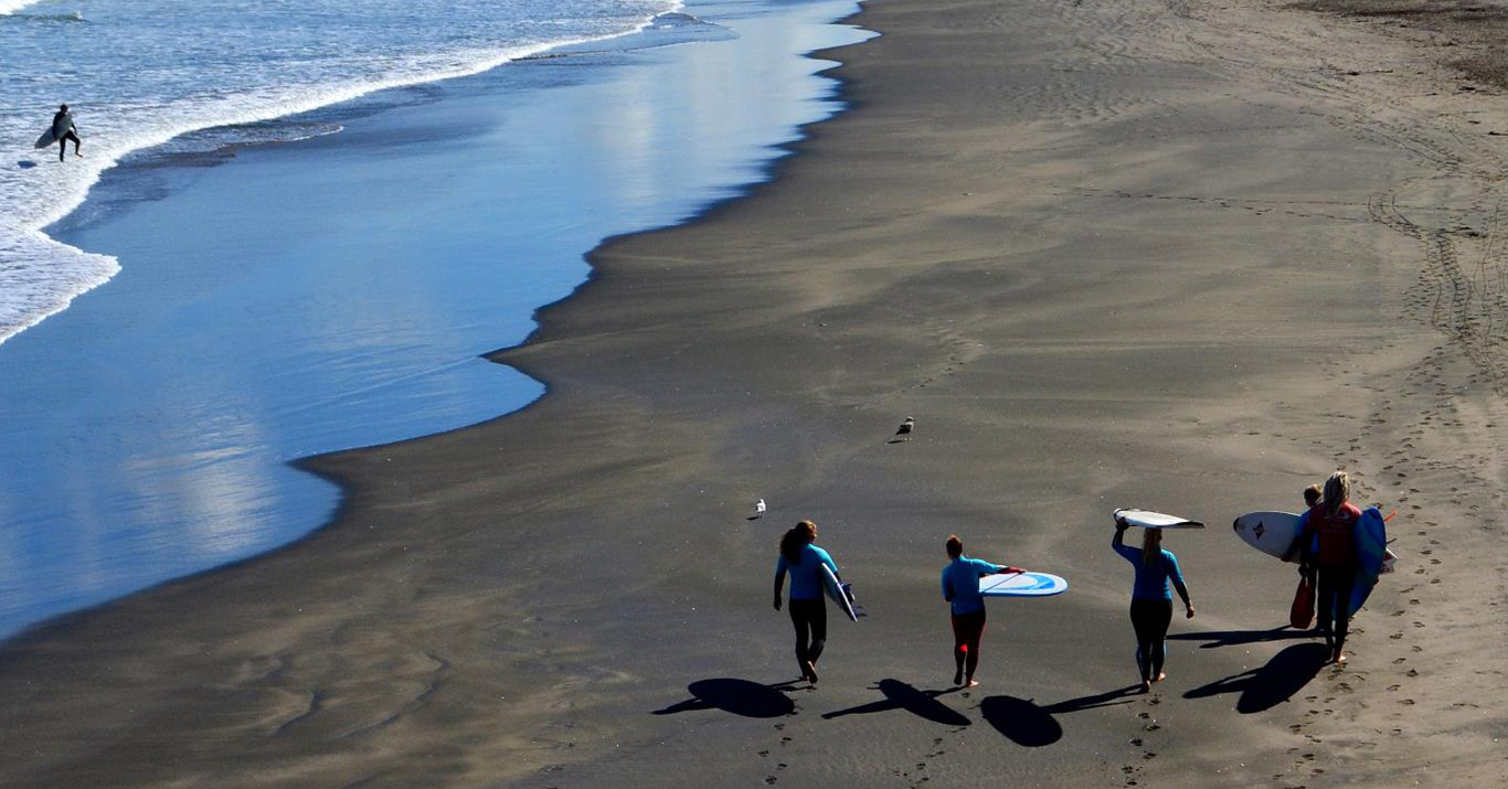 Muriwai Surf School - Surfing | Hello Auckland - Hello Auckland