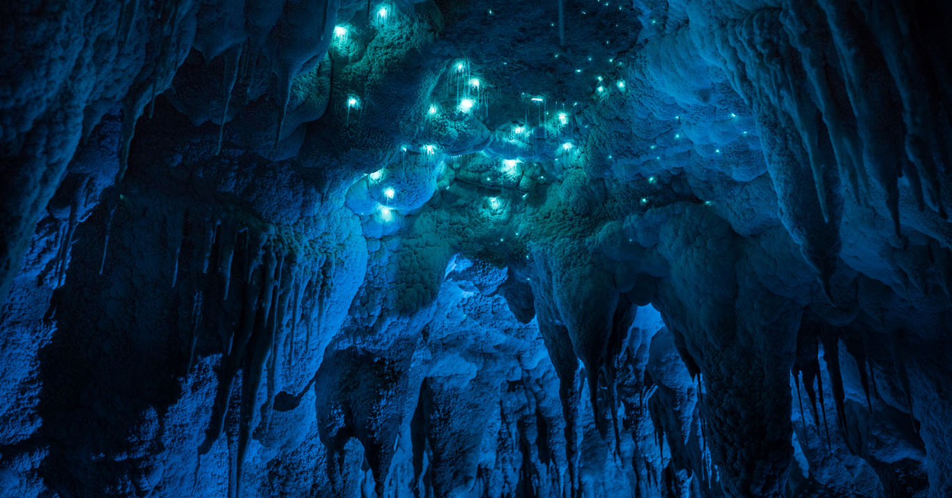 Nikau Cave and Cafe | Hello Auckland - Hello Auckland